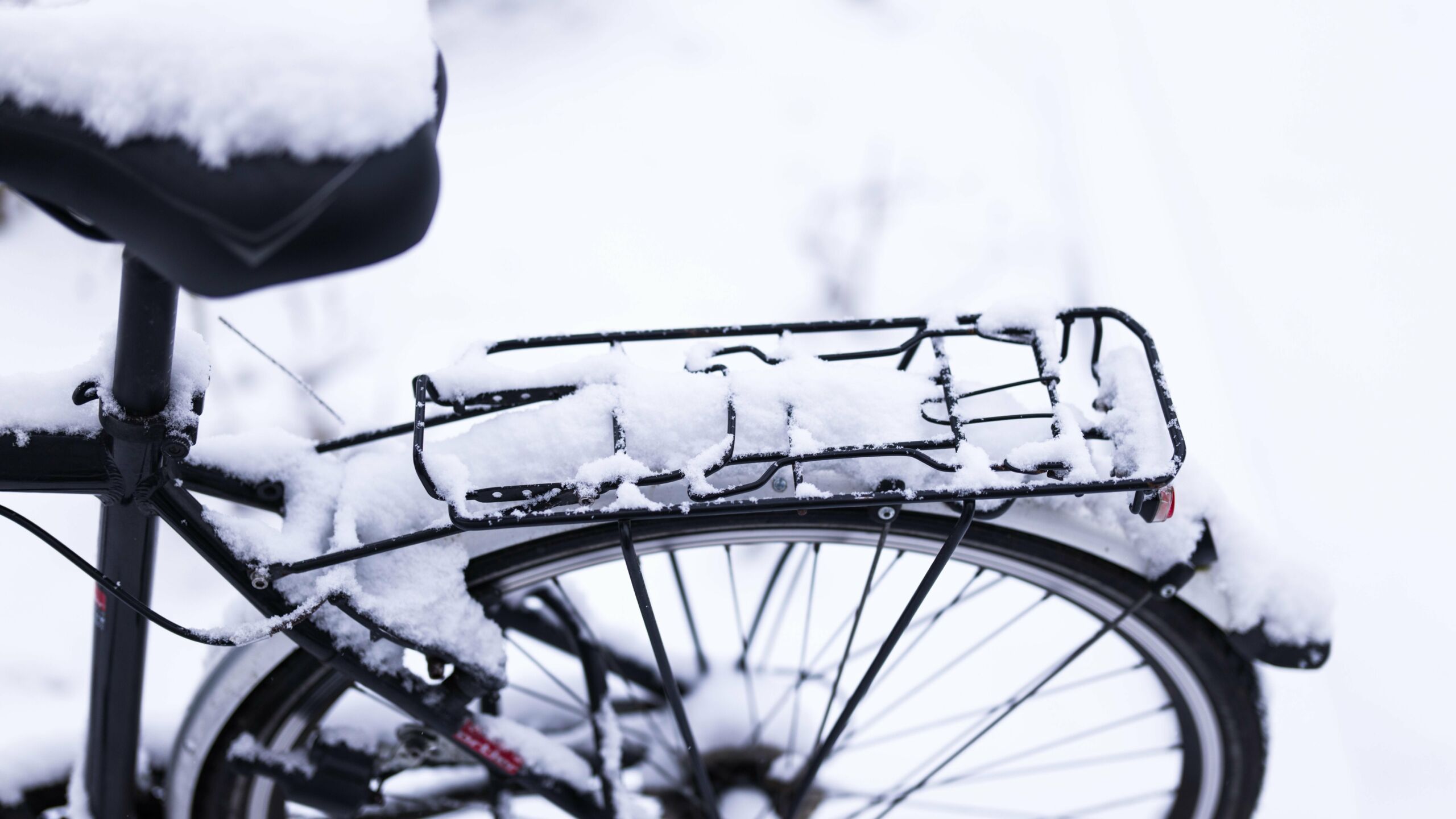 Minor update (2) for Vivaldi Android Browser 5.6 | Vivaldi Browser