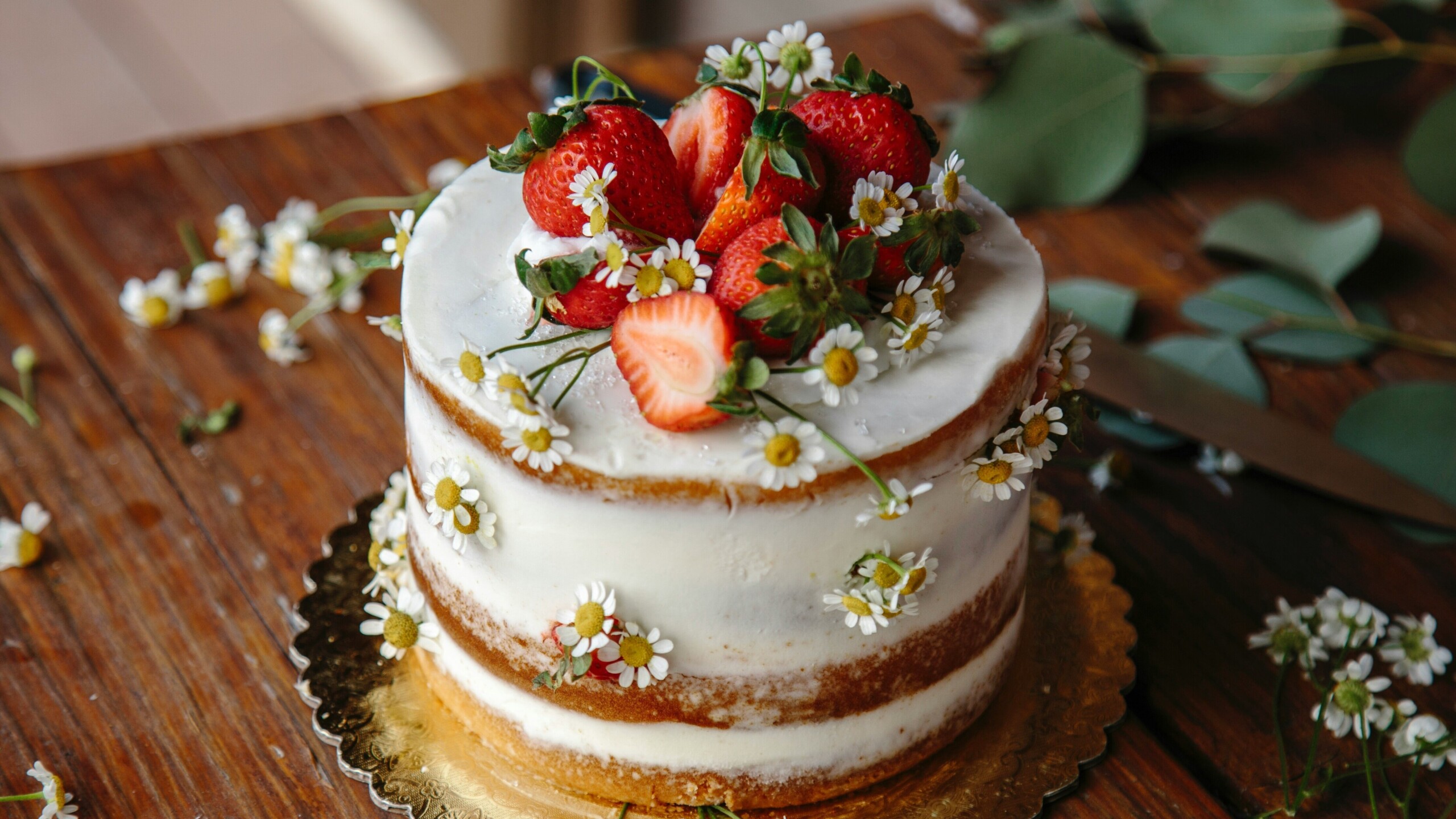 Minor update for Vivaldi Android Browser 6.6 | Vivaldi Browser Minor update for Vivaldi Android Browser 6.6 | Vivaldi Browser