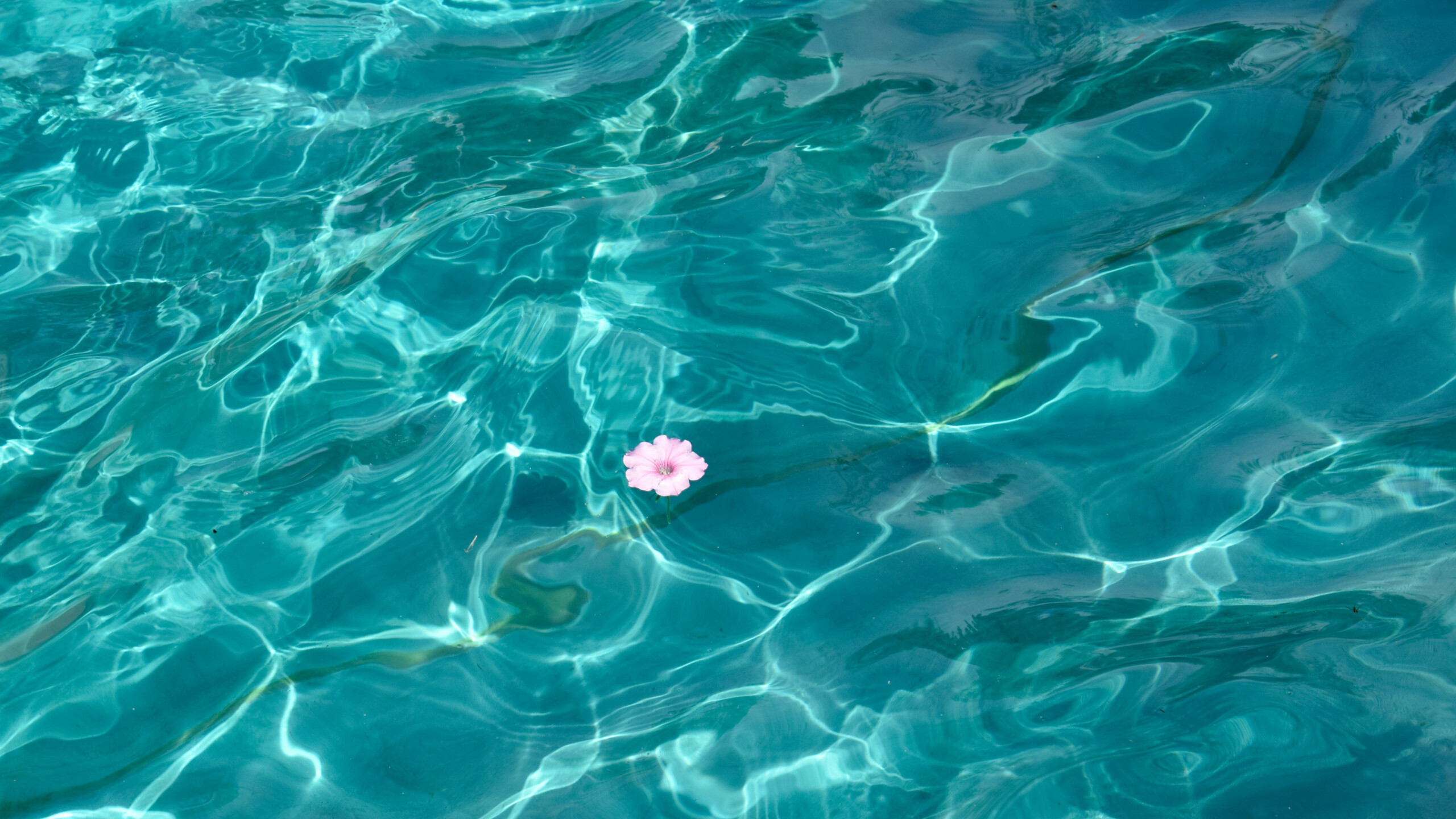 Floating tabs and tab switcher list view – Vivaldi Android Browser ...