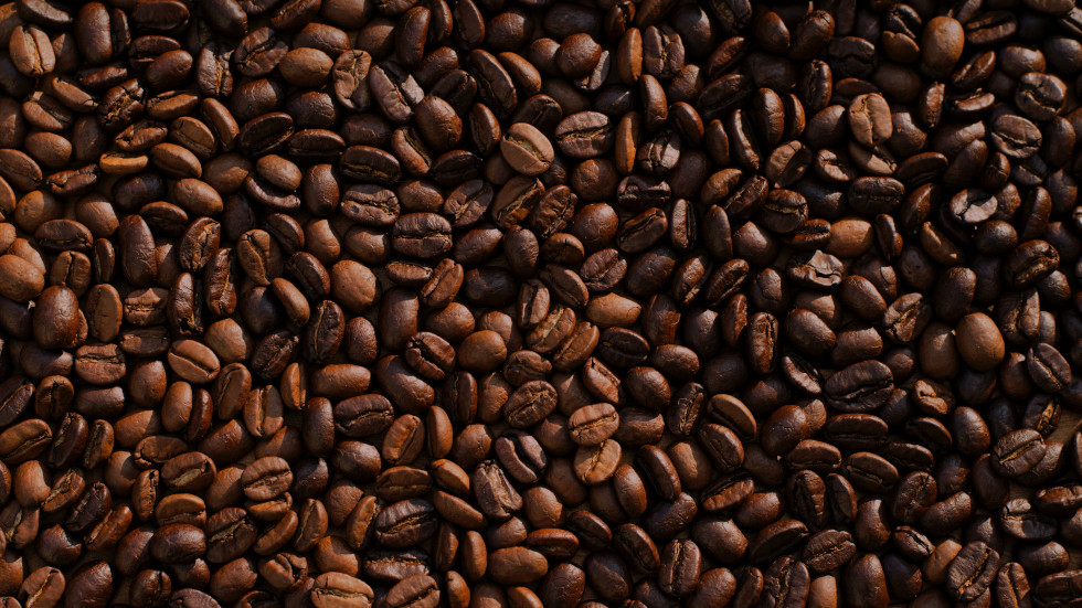 Vivaldi 5.5 RC 1 – Vivaldi Desktop Browser snapshot 2805.30/32