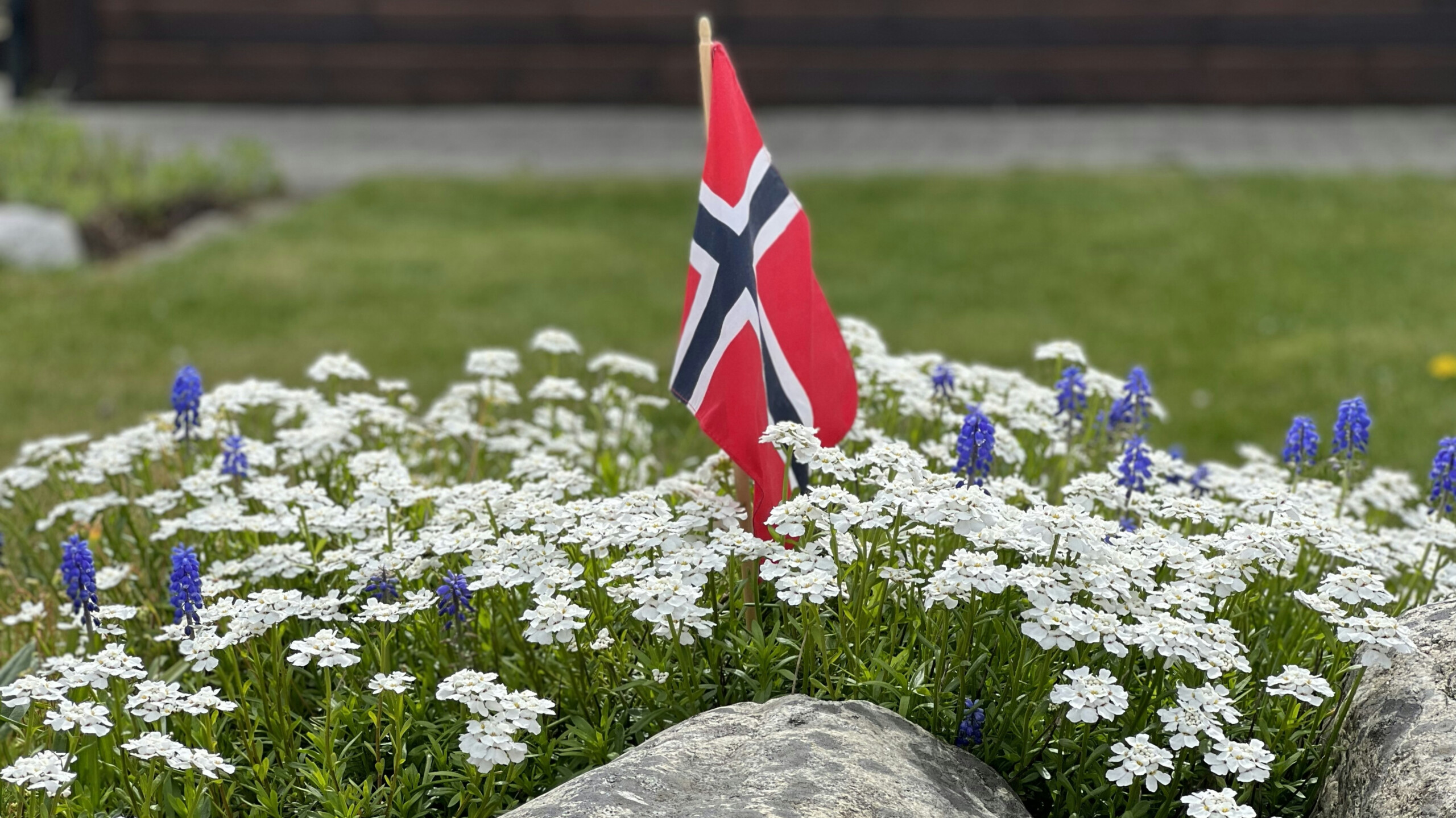 Minor update(6) for Vivaldi Android Browser 7.2 | Vivaldi Browser